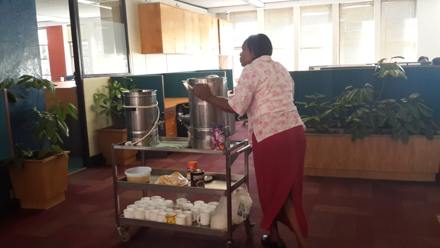 Cleaner or Tea Lady urgently needed: Apply Now - News365.co.za