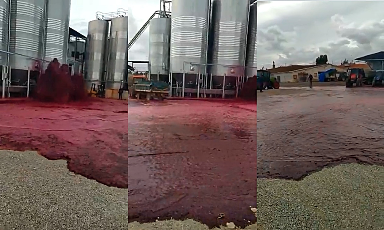 Video: Disaster as 50 000 litres of Red Wine flood the streets ...