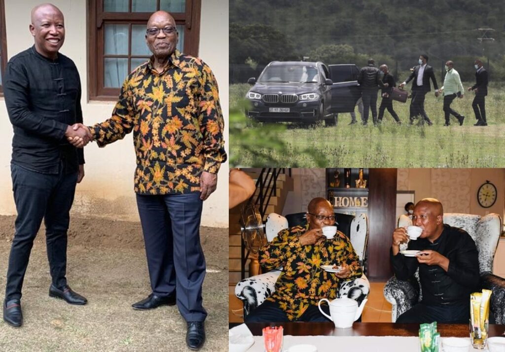 It was nice and hot: Inside Jacob Zuma and Julius Malema's tea meeting ...