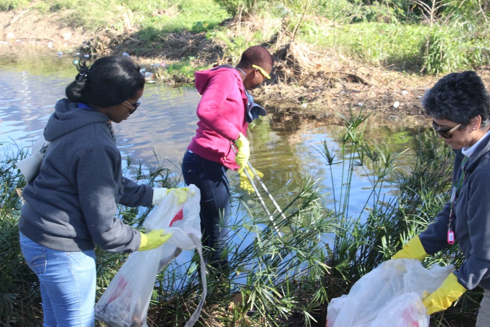 NGO takes initiative to restore nature by cleaning rivers - News365.co.za