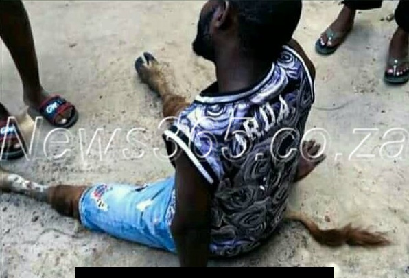 Man turns into a cow after sleeping with a married woman - WATCH ...