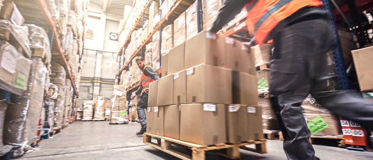 3 Picker Packers wanted urgently: APPLY NOW - News365.co.za